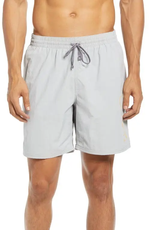 Nike Just Do It Swoosh Volley Swim Trunks