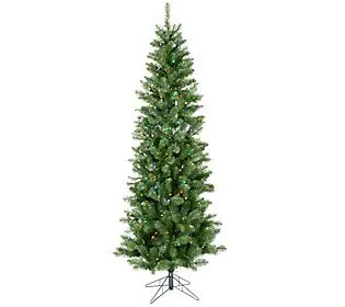 VICKERMAN 4.5' Salem Pencil Pine Tree With Multicolor Led S By - One-color