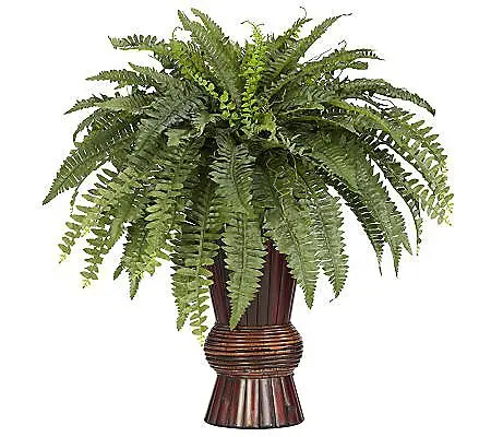 NEARLY NATURAL Boston Fern With Bamboo Vase Plant Nearly Na Tural - One-color