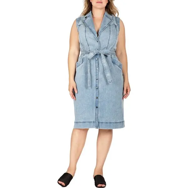 STANDARDS & PRACTICES Sleeveless Denim Shirt Dress