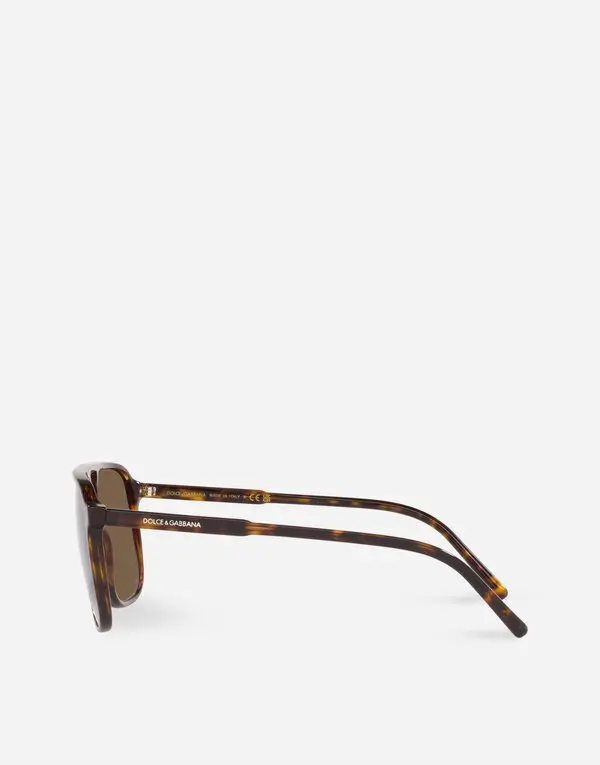 Dolce & Gabbana Sunglasses