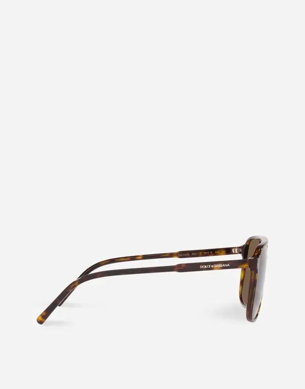 Dolce & Gabbana Sunglasses