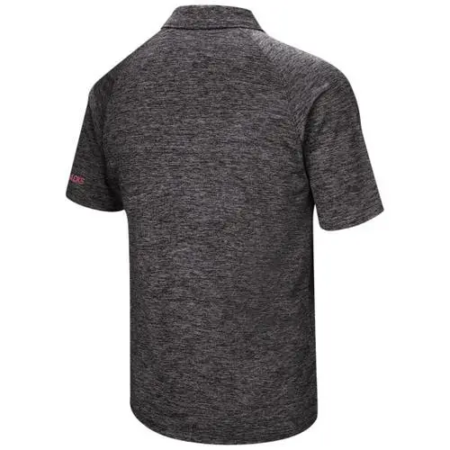 COLOSSEUM Arkansas Razorbacks Big & Tall Down Swing Polo