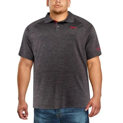 COLOSSEUM Arkansas Razorbacks Big & Tall Down Swing Polo