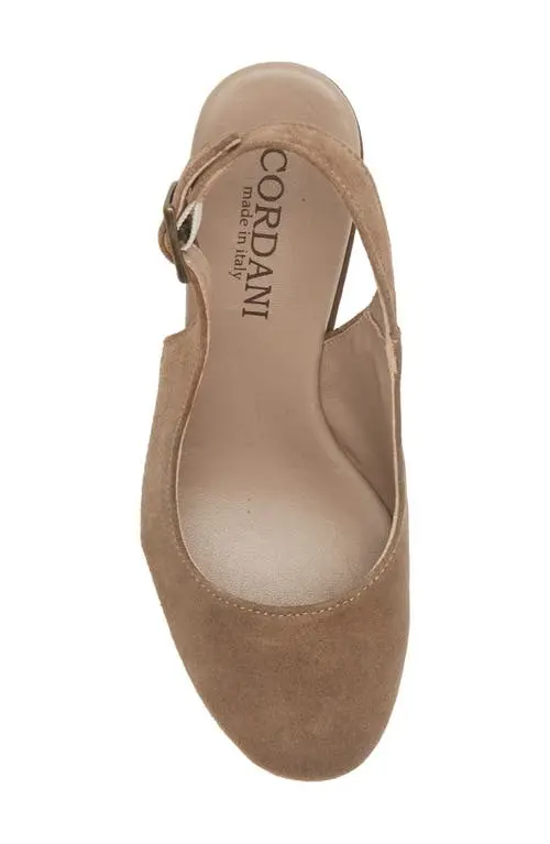 Cordani Torrie Platform Slingback Pump - Fango Suede