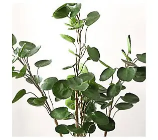 SAFAVIEH Faux Polyscias Potted Tree