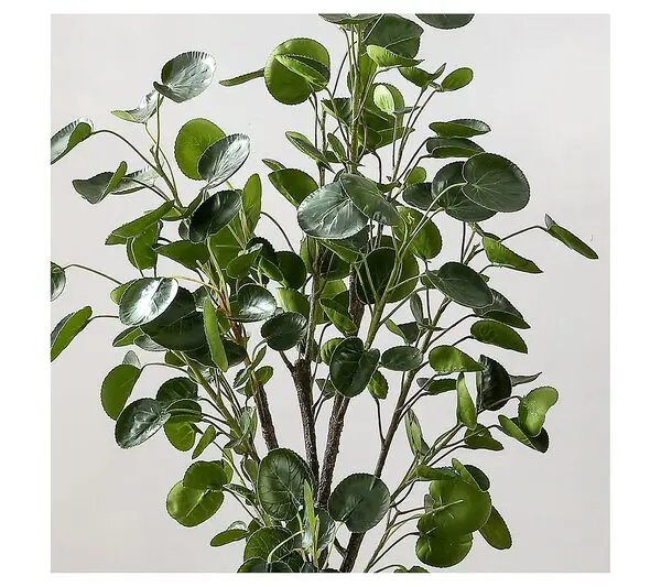 SAFAVIEH Faux Polyscias Fruticosa Potted Tree