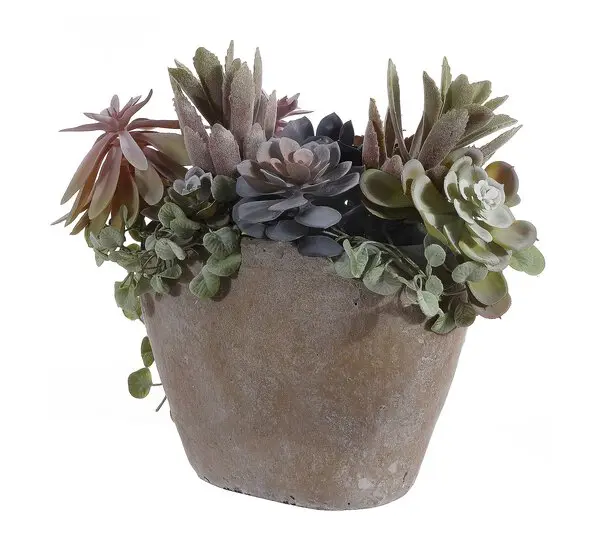 SAFAVIEH Faux Succulent Potted Plant - One-color