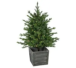 NORTHLIGHT 4' Pre-lit Potted Russian Pine Chris Tmas Tree - One-color