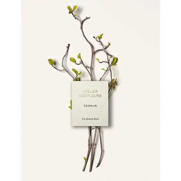Chloé Atelier Des Fleurs Cedrus Eau De Parfum