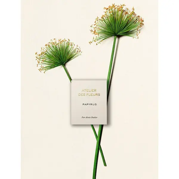 Chloé Atelier Des Fleurs Papyrus Eau De Parfum - Na