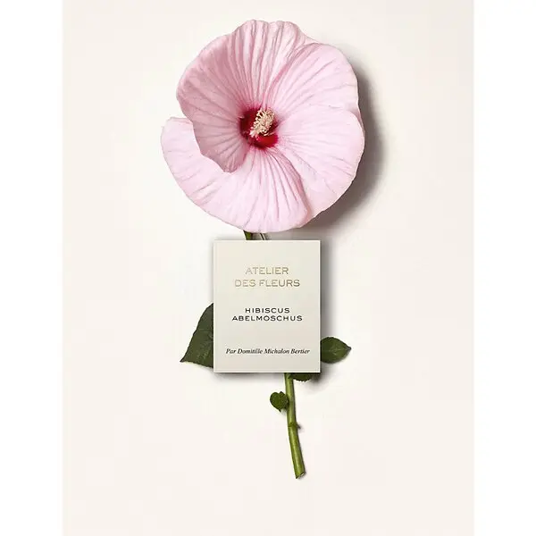 Chloé Atelier Des Fleurs Hibiscus Abelmoschus Eau De Parfum