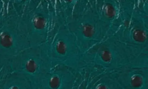 Brahmin Veronica Leather Envelope Wallet - Emerald