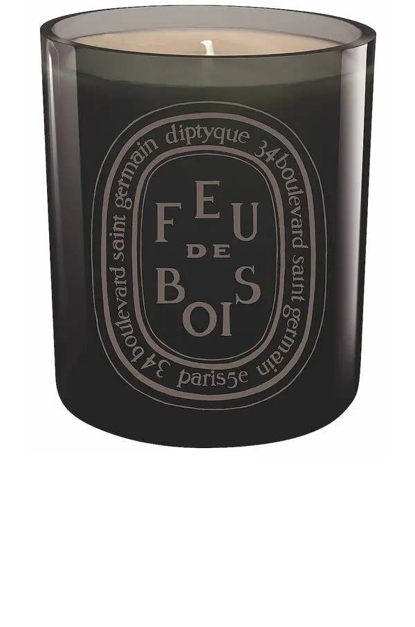 DIPTYQUE Feu De Bois Medium Candle In Black - N,a