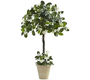 NEARLY NATURAL 3' Stephanotis Topiary W/ Planter Nearly Nat Ural - One-color