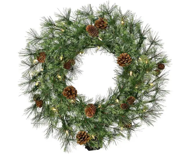 FRASER HILL FARM 24-in Wreath W/pinecones & War M White Led - One-color
