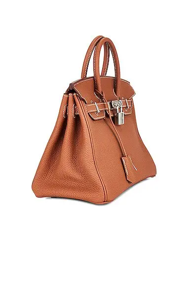 Hermès Togo Birkin 25 Bag