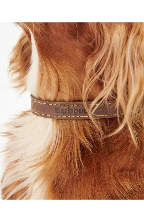 Barbour Leather Dog Collar