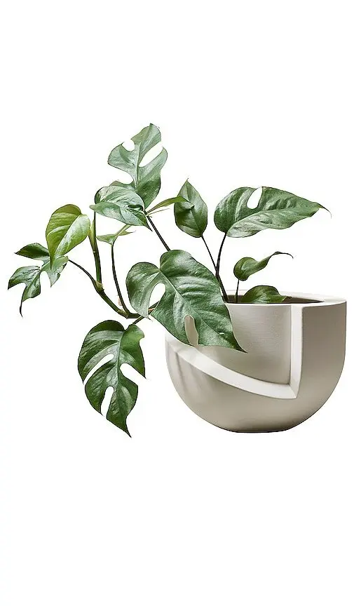 LIGHT + LADDER Vayu Planter In White
