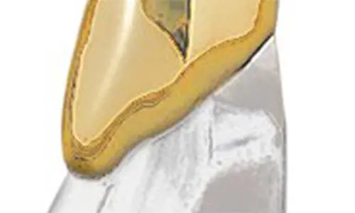 Alexis Bittar Lucite® Drop Ear Jackets