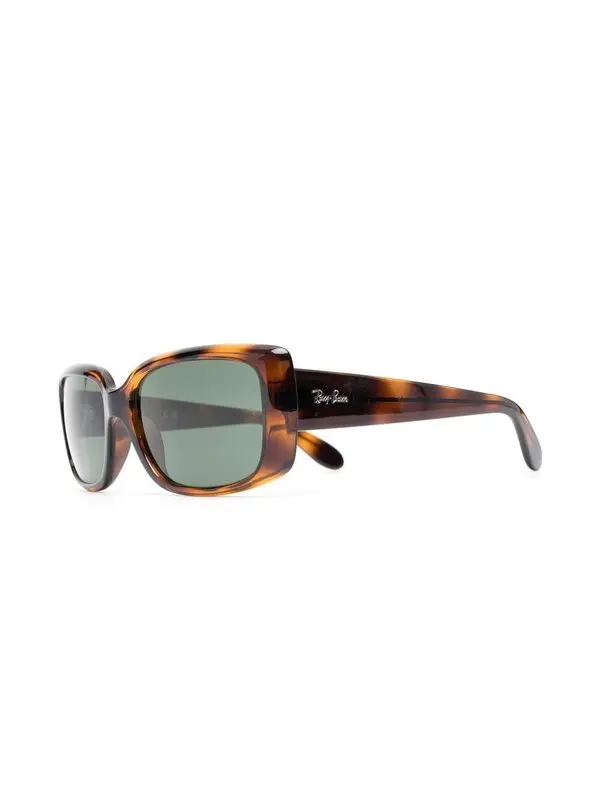 Ray-ban Tortoiseshell Sunglasses
