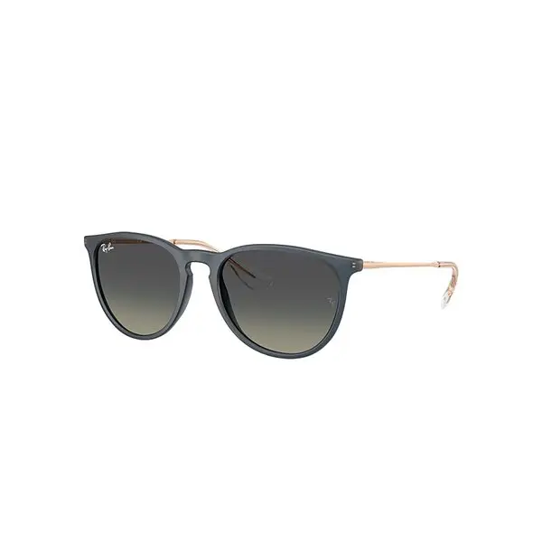 Ray-ban Erika Classic Sunglasses - Rubber Blue