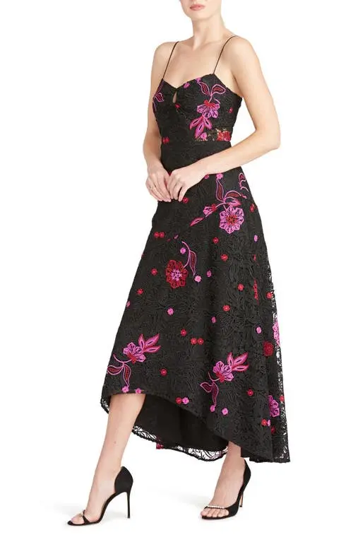 Monique Lhuillier Sleeveless Embroidered Lace A-line Dress