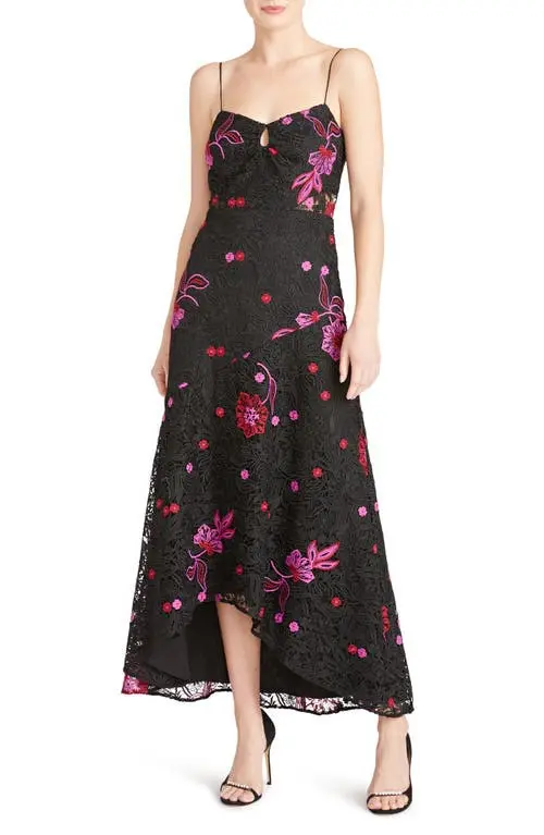 Monique Lhuillier Sleeveless Embroidered Lace A-line Dress