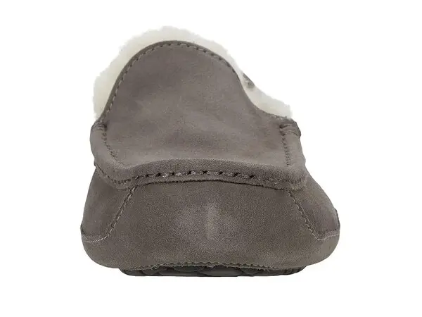 UGG Ascot Slipper - Gray