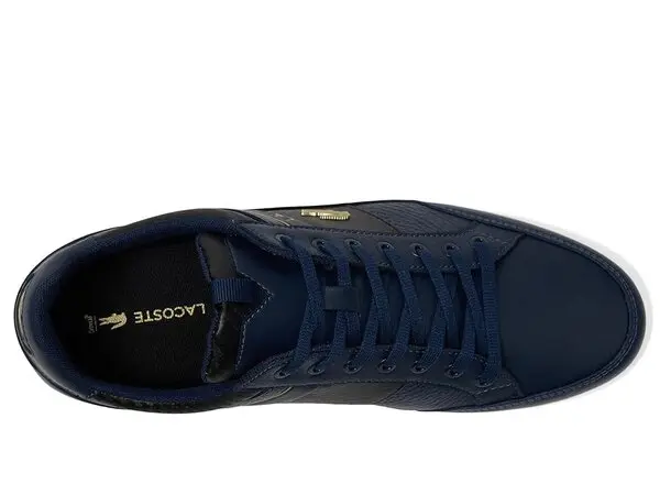 Lacoste Chaymon Lace-up Sneakers - Blue