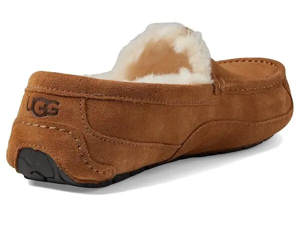UGG Ascot Slipper - Brown