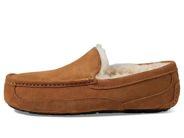 UGG Ascot Slipper - Brown