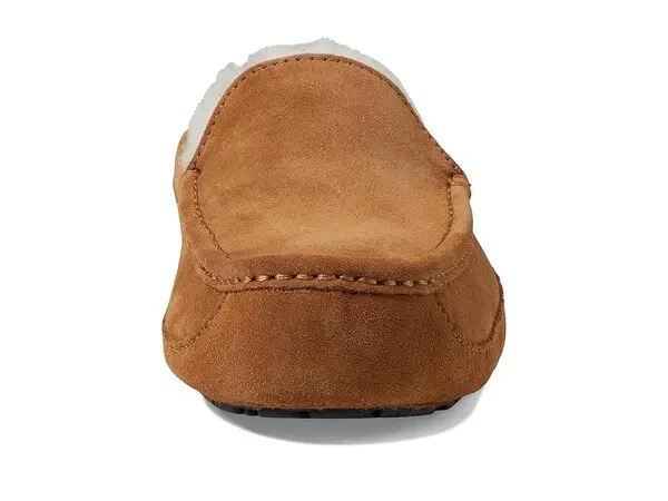 UGG Ascot Slipper - Brown