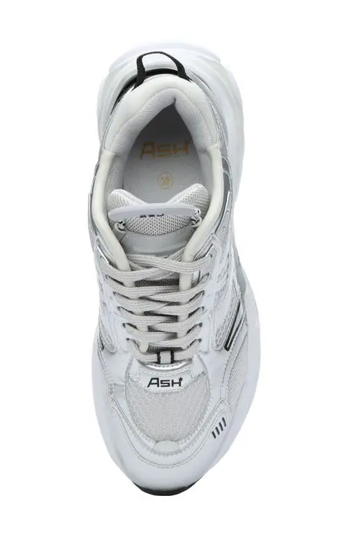 Ash Race Sneaker - Silver/pearl