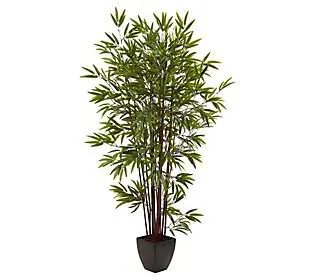 NEARLY NATURAL 6' Bamboo Silk Tree With Planter Nearly Natu Ral - One-color