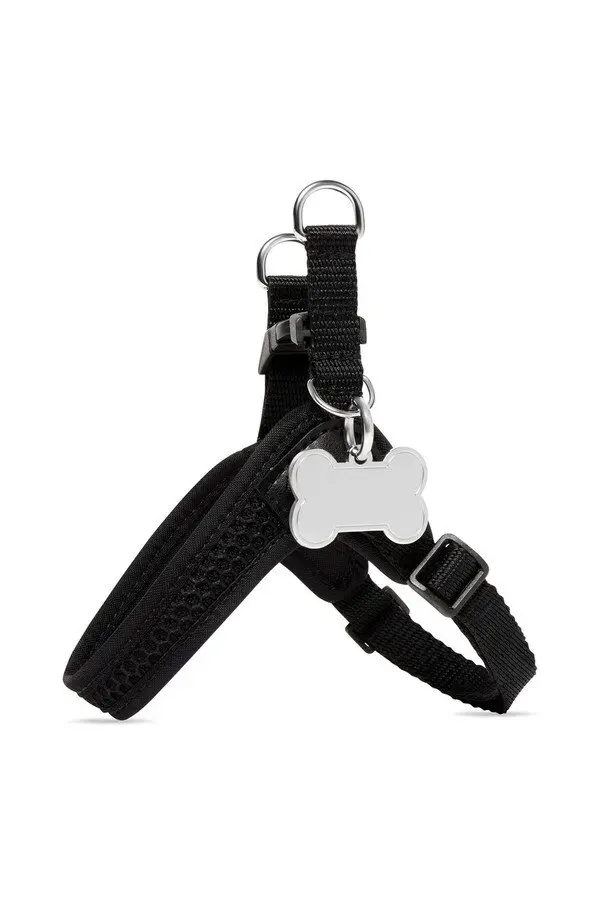 Balenciaga Dog Harness