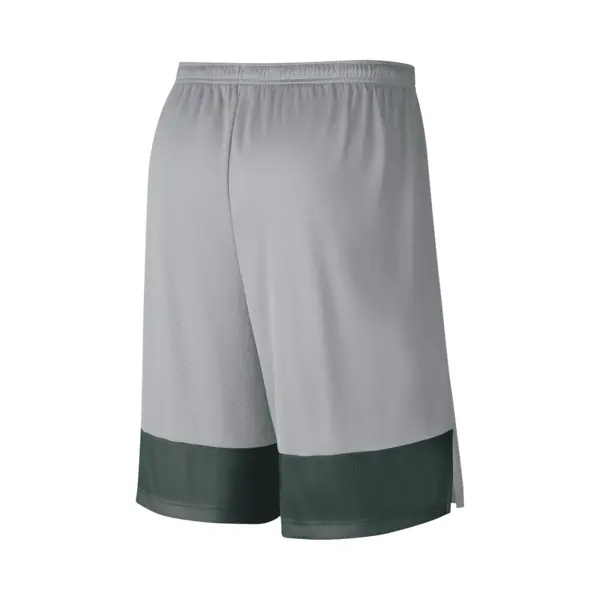 Nike College Dri-fit Shorts
