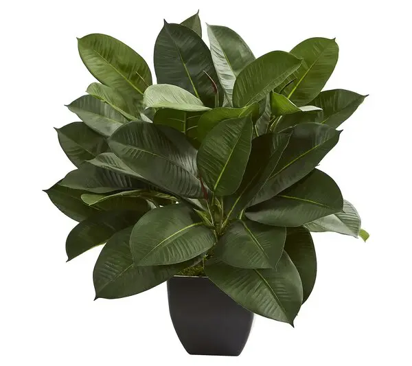 NEARLY NATURAL Oak Ficus Artificial Plant By