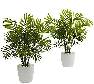 NEARLY NATURAL Set Of 2 Palms In White Planters Nearly Natu Ral - One-color