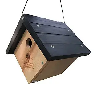 BACKYARD EXPRESSIONS Cedar Wood Triangle Birdho Se - One-color