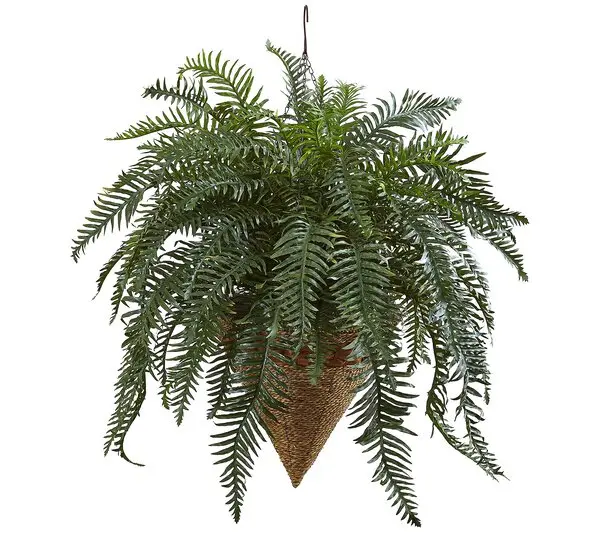 NEARLY NATURAL Giant River Fern With Cone Hanging Basket Ne Arly Natural - One-color