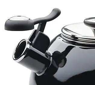 CIRCULON 2-qt Whistling Induction Teakettle Wit Flip-up Spout