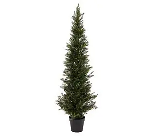 PURE GARDEN 60' Cedar Tree - One-color