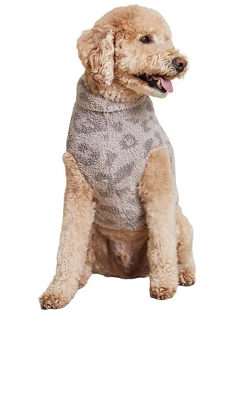 Barefoot Dreams Cozychic Barefoot In The Wild Pet Sweater In Grey