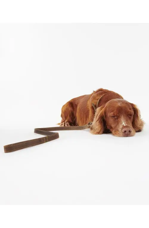 Barbour Leather Dog Leash