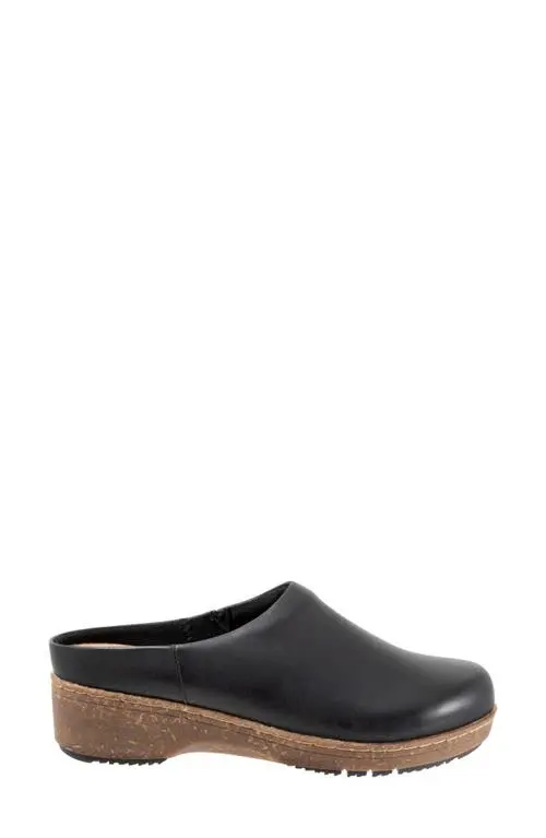 Softwalk Arvada Mule