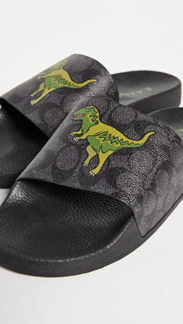 Coach Signature Rexy Slides - Black | Editorialist display picture 3