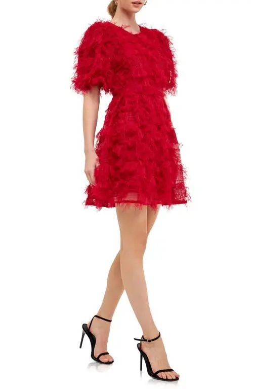 Endless Rose Feathered Mesh Mini Dress