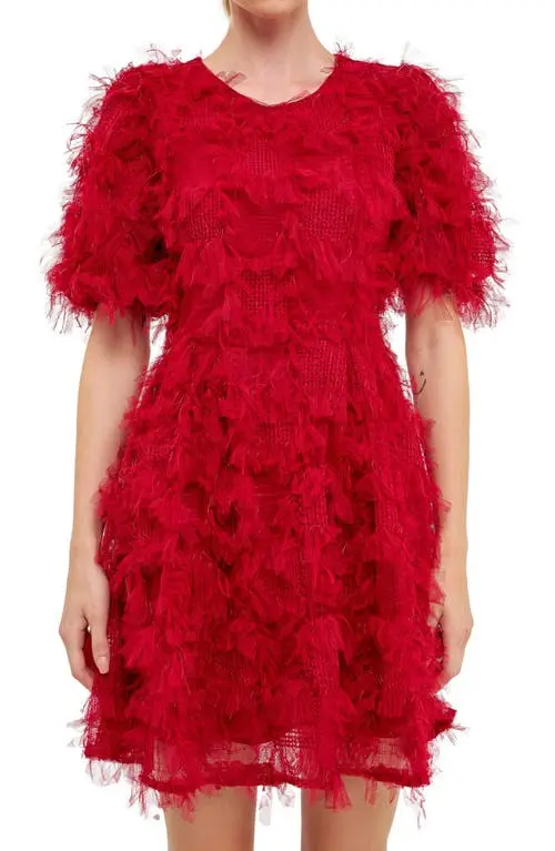 Endless Rose Feathered Mesh Mini Dress