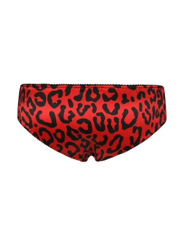 Dolce & Gabbana Leopard-print Briefs - Red
